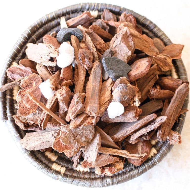 How to Identify Orchids: The Comprehensive Guide - Orchid Bliss